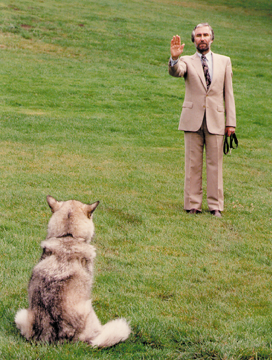 Distance Position Changes | Dog Star Daily