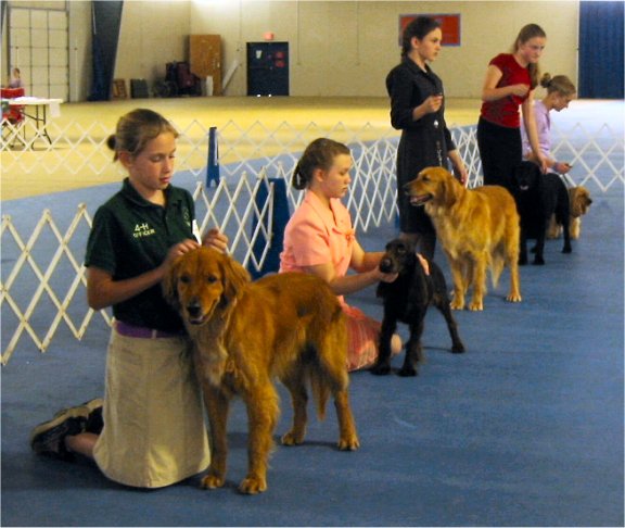 It Takes a Village | Dog Star Daily