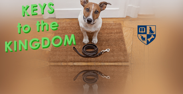 Quick Tip: The Keys to the Kingdom – How to Use Life Rewards to ...