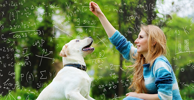 FREE SEMINAR: Science-Based Dog Training (with Feeling) | Dog Star Daily